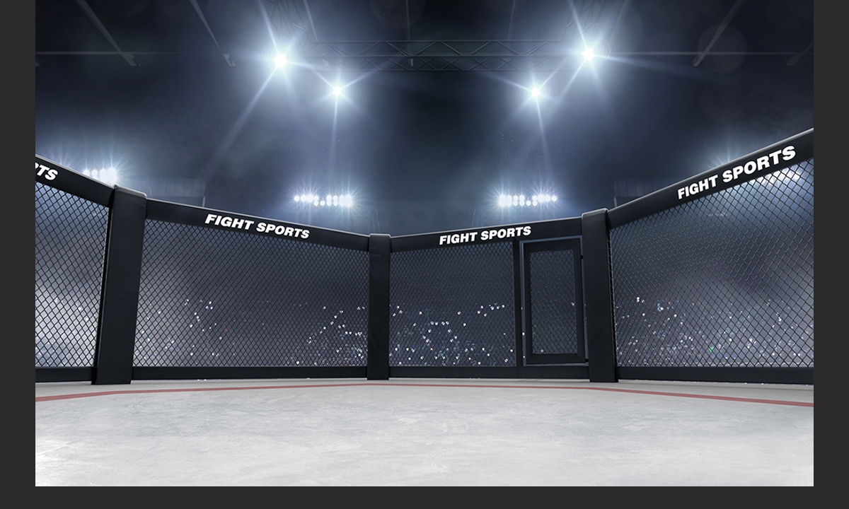 3D render MMA arena. MMA octagon cages. – DailyFanMMA